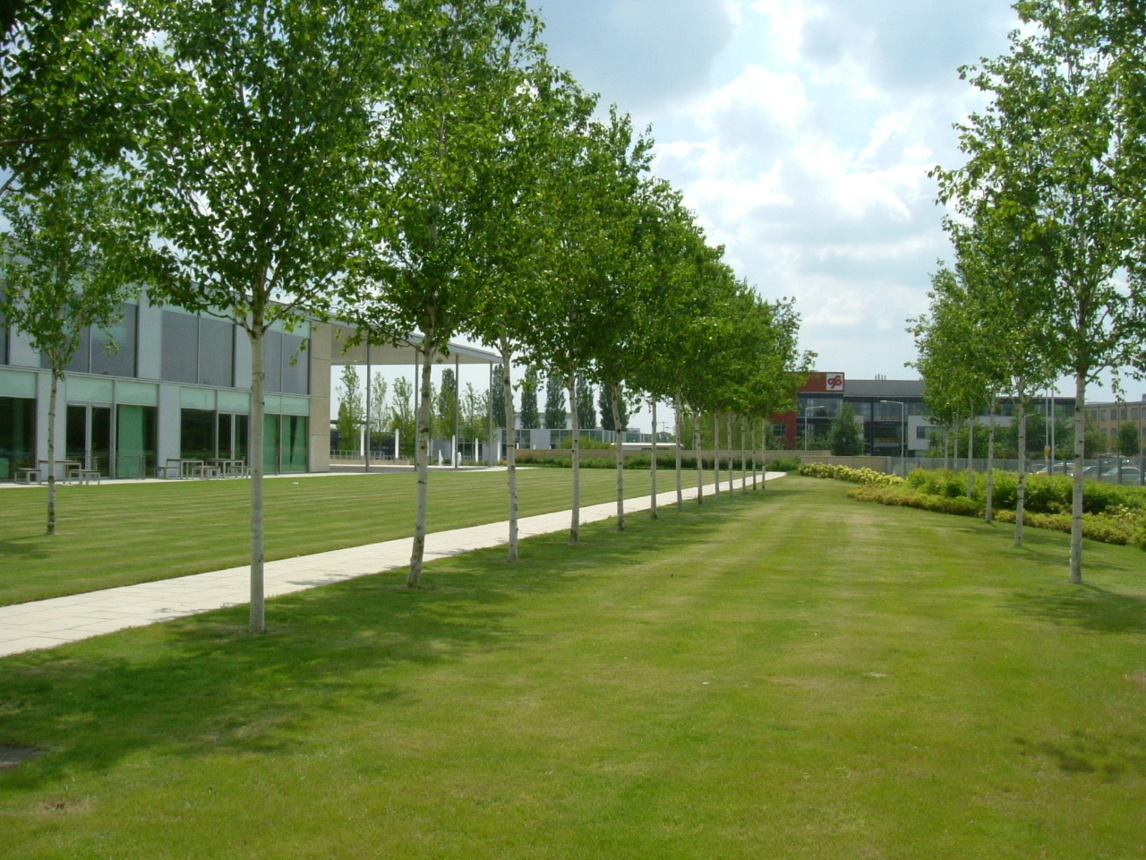 Commercial and public spaces - The Garden Company