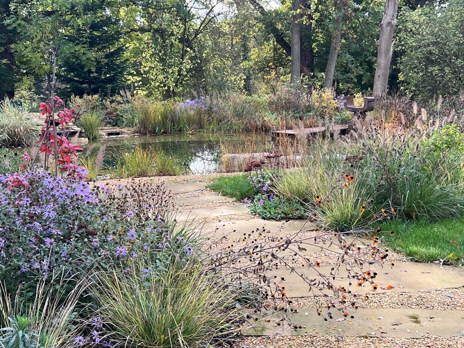 5 planting design principles for creating a naturalistic garden - The ...